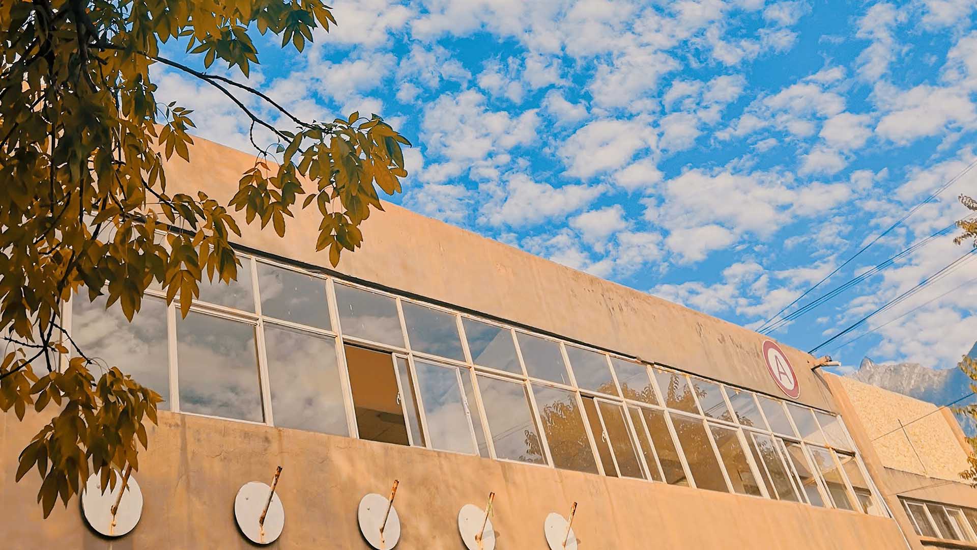 Artes Visuales, 40 años de ser referente nacional - Vida Universitaria ...