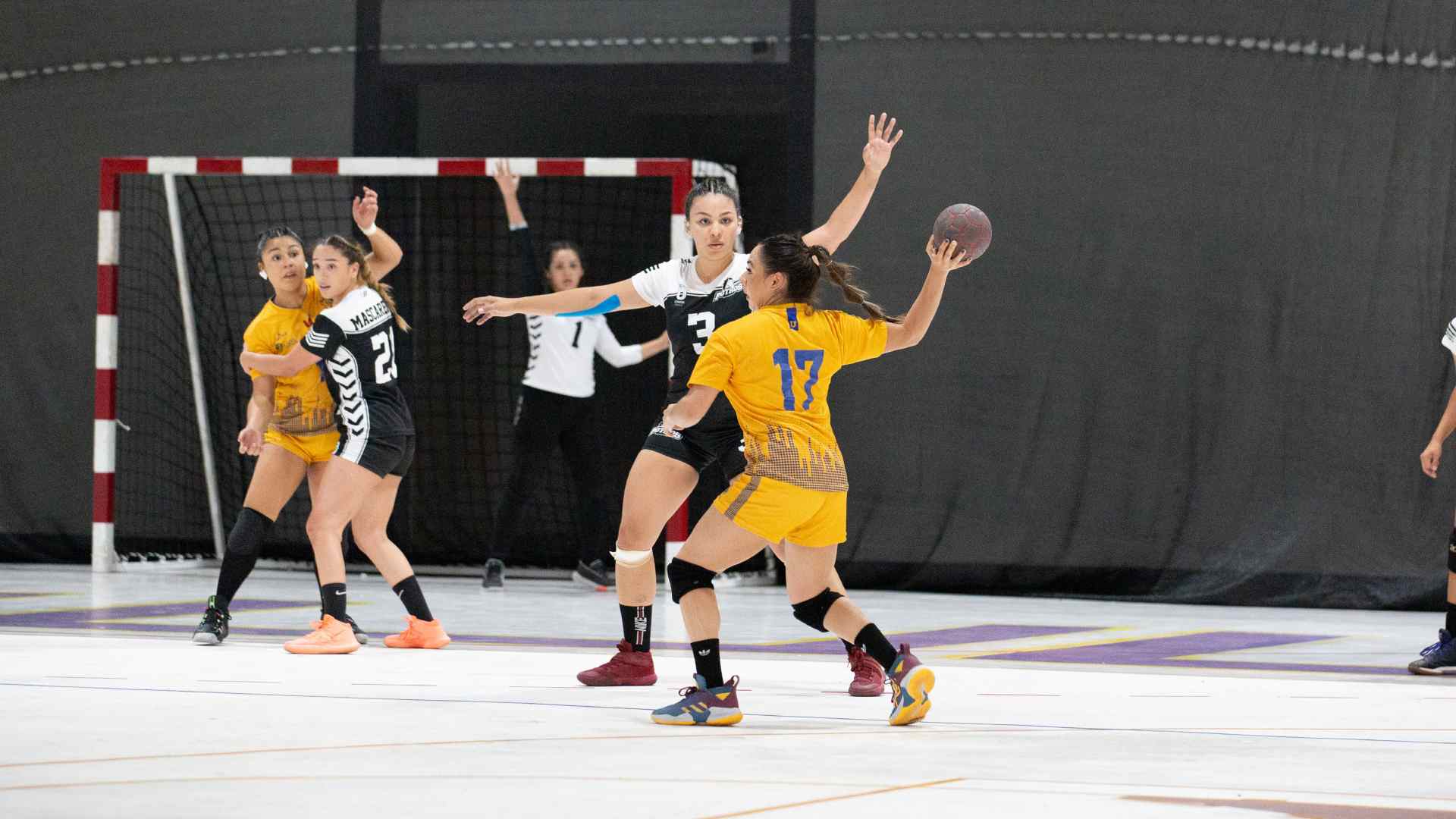 Tigres avanzan invictos a las finales de handball - Vida Universitaria ...