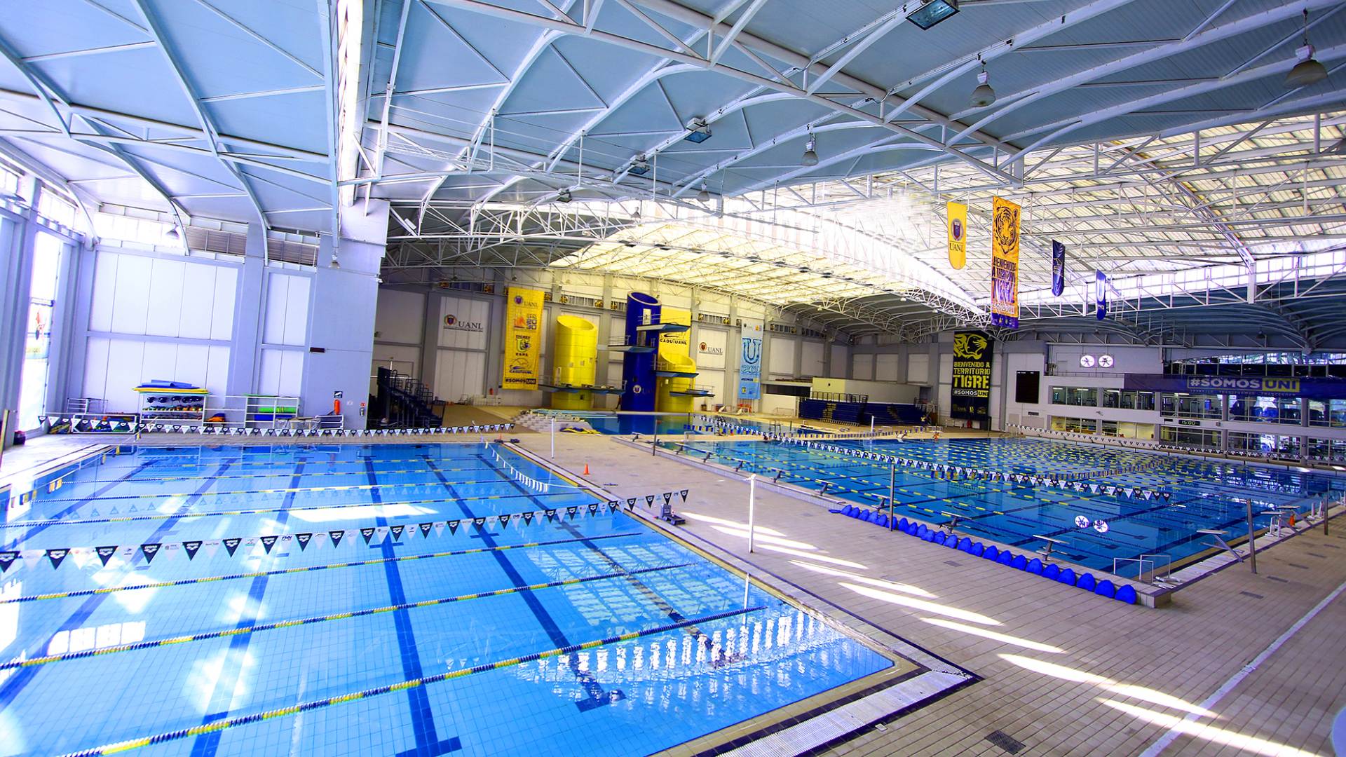 Festeja Centro Acuático Universitario 15 años de actividades - Vida ...