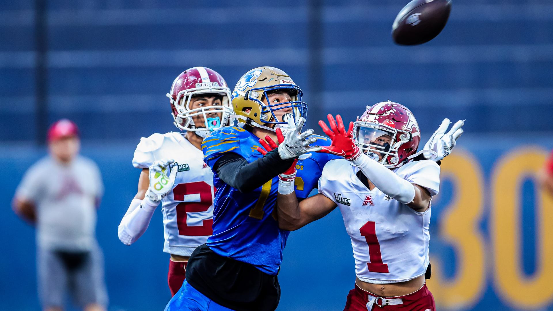 Dan Auténticos Tigres zarpazo de final - Vida Universitaria ...