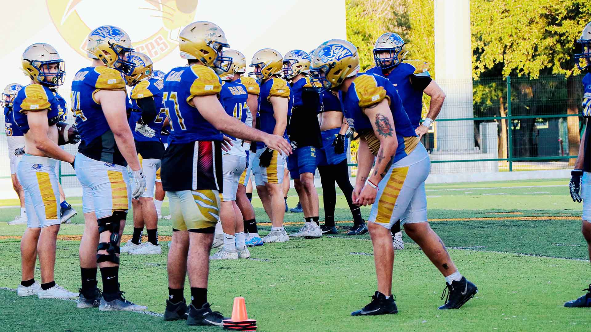 Arranca Auténticos Tigres pretemporada frente a Lobos de Saltillo ...