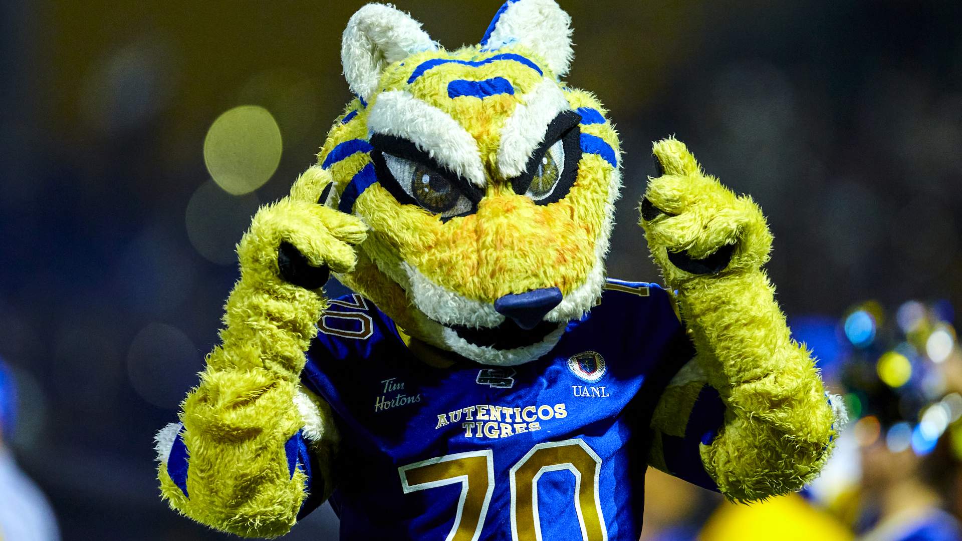 Disputará Auténticos la gran final de la ONEFA - Vida Universitaria ...