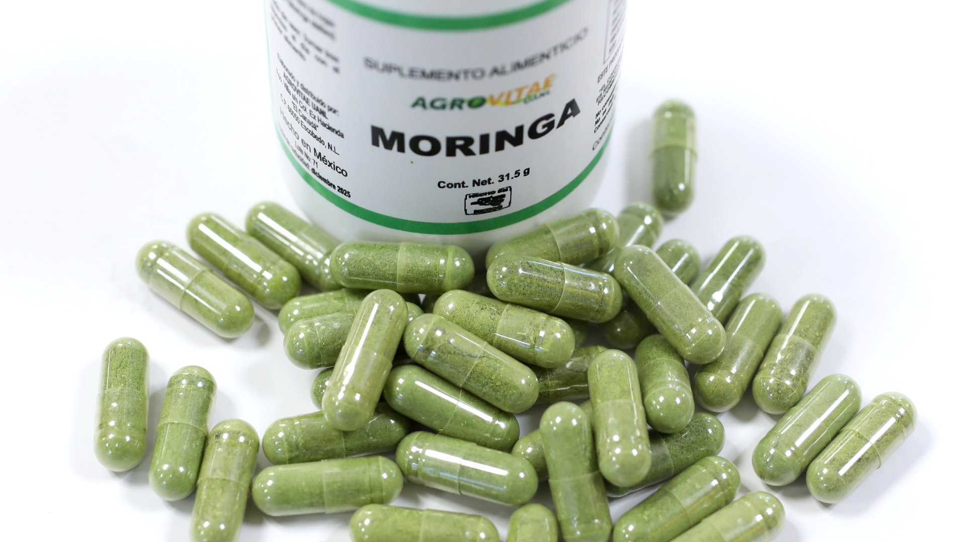 Realzan propiedades medicinales de la moringa - Vida Universitaria ...