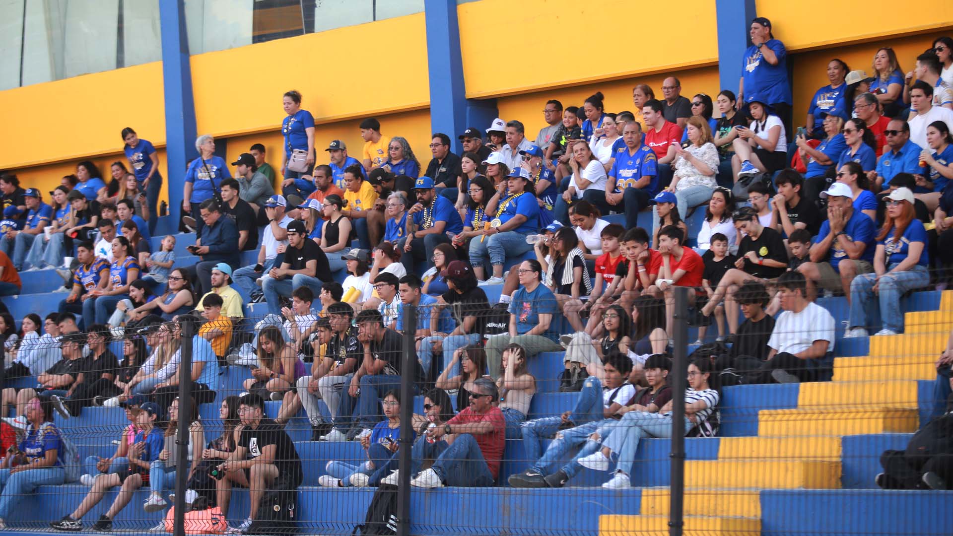 2 de 2 para Auténticos Tigres de Intermedia - Vida Universitaria ...