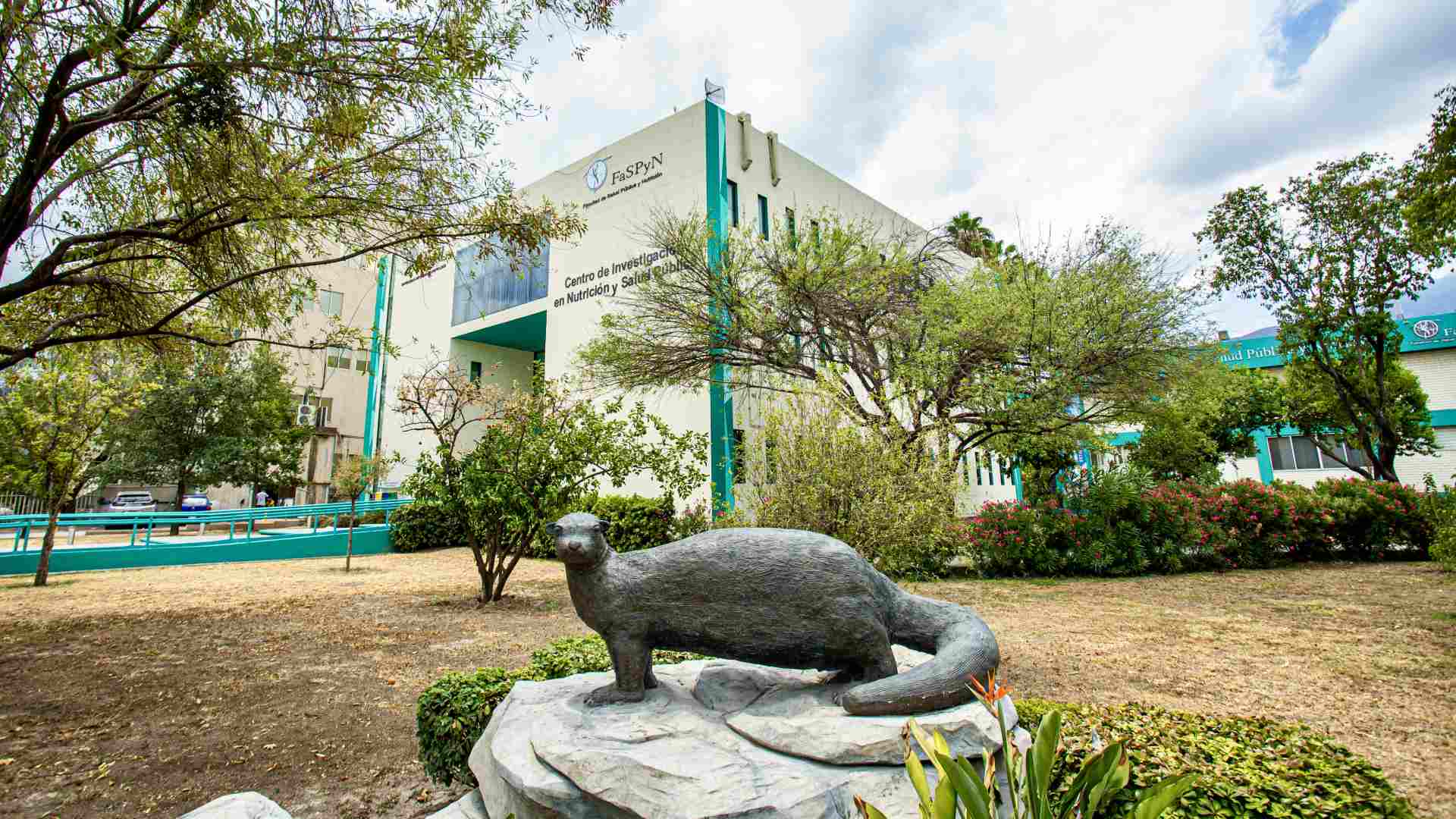 Impactan programas de FASPYN en la salud y bienestar de NL - Vida ...