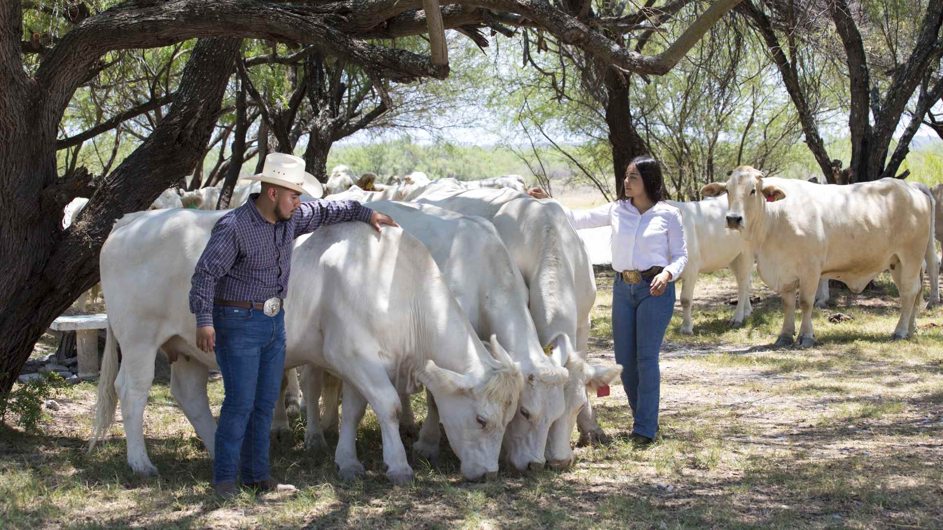 Facultad de Agronomía celebra 70 años de vida - Vida Universitaria ...