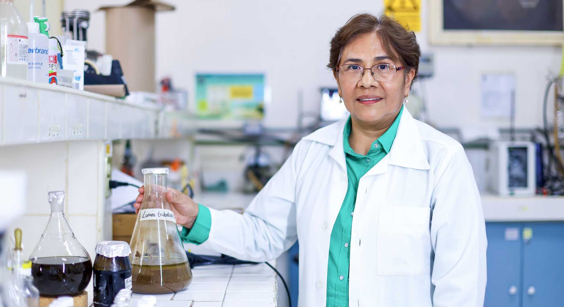Avala IMPI proyectos de investigación de María del Rayo Camacho - Vida ...